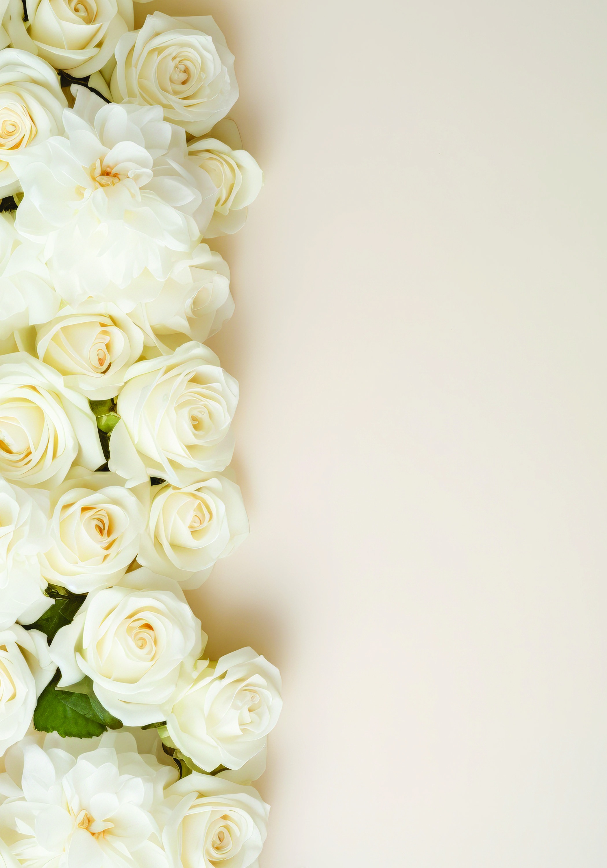 Wedding Invitation Backgrounds - GMeld